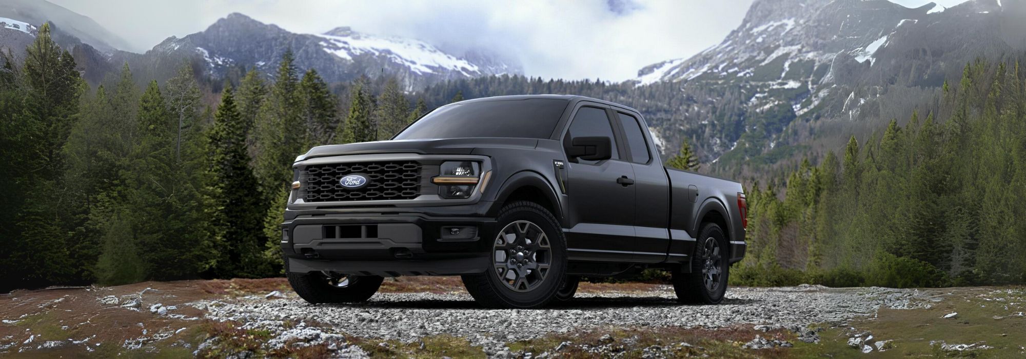 Welcome to Polito Ford